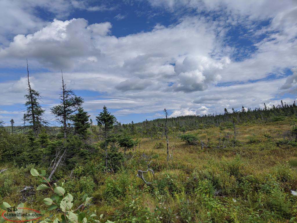 Land - Glovertown, Newfoundland Labrador | NL Classifieds