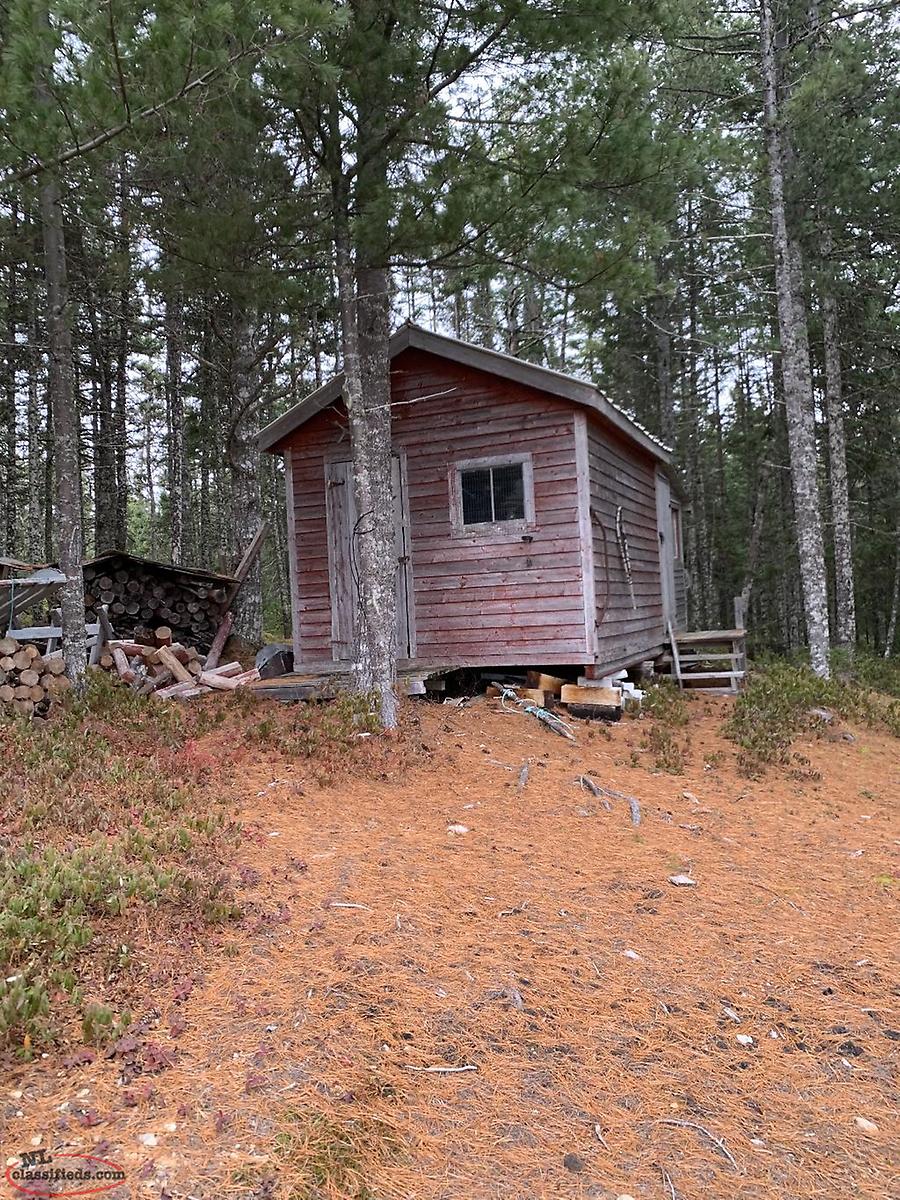 Cabin For Sale - Port Blandford, Newfoundland Labrador | NL Classifieds