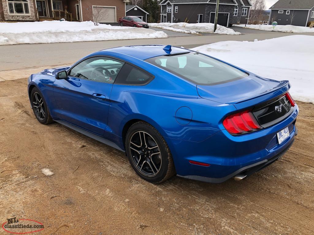 2020 Mustang 13,750KM!! - Pasadena, Newfoundland Labrador | NL Classifieds